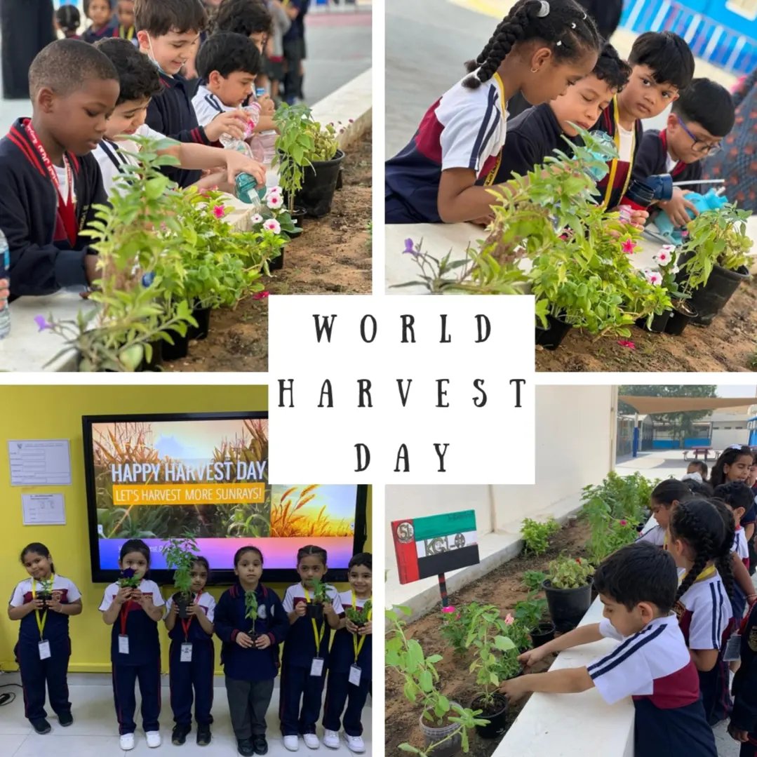 Royal Private English School - Fujairah | My Easy Education